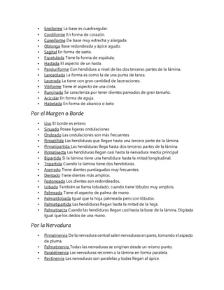 Farmacognosia Clasificación de las hojas | DOCX