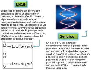 Tarea 2 genetica | PPTX