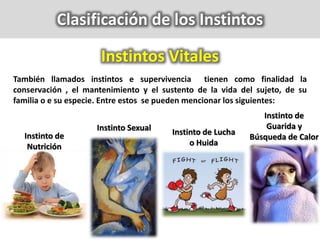 Tarea3 insintoysexualidad | PPTX