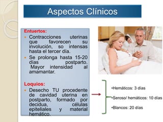 Tarea43 puerperio | PPTX