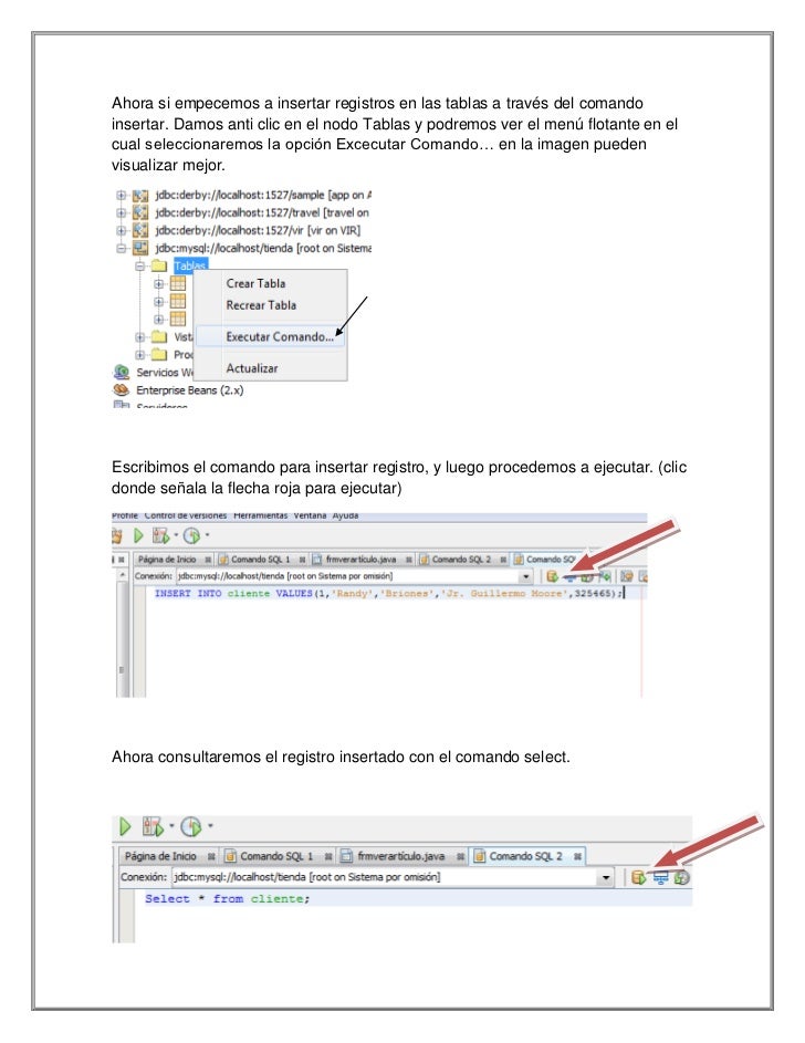 Base De Datos Con Netbeans