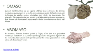 Anatomia y fisiología de los rumiantes, pseudorumiantes y monogastricos ...