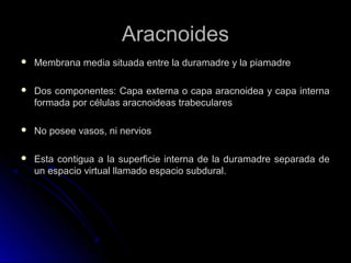 Meninges, Sistema Ventricular e Irrigación encefálica | PPT