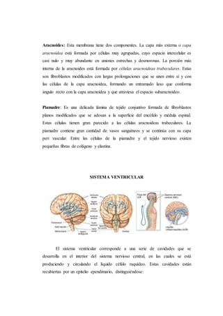 MENINGES Y SISTEMA VENTRICULAR | DOCX