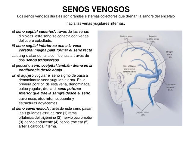 Tarea 6 neurociencias
