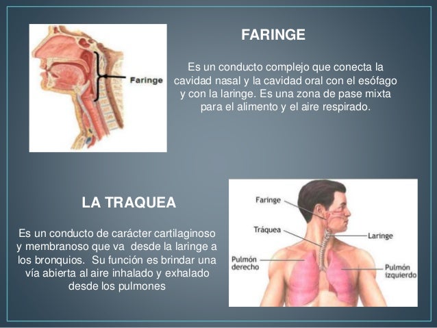 Tarea7.sistemas