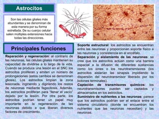 Las Células Gliales | PPTX