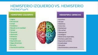 Lateralizacion cerebral | PPTX