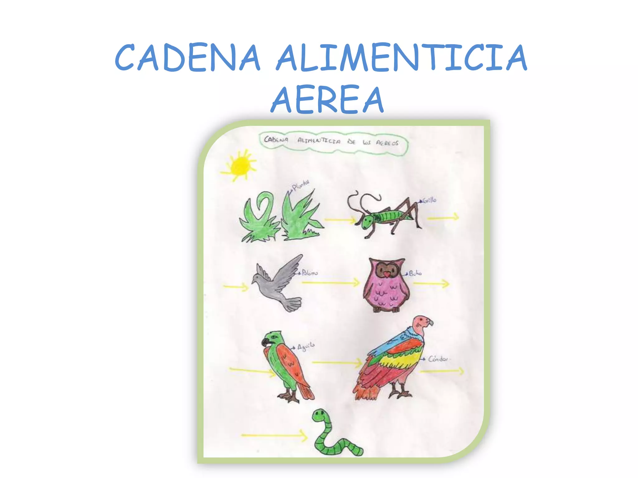 Tarea extraclase | PPT