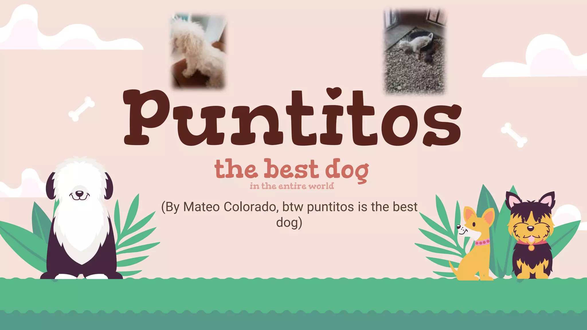 Tarea learn puntitos.pptx