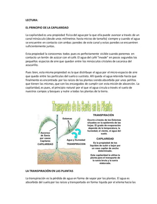 Tarea lectura de tema nutricion de las plantas | DOCX | Chemistry | Science