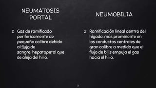 TAREA NEUMOBILIA NEUMATOSIS PROTAL RIGLER.pptx