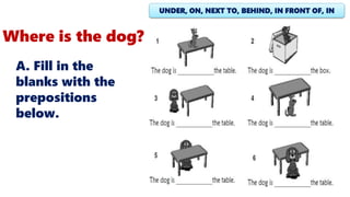 PREPOSITIONS OF PLACE | PPTX | Dogs | Pets
