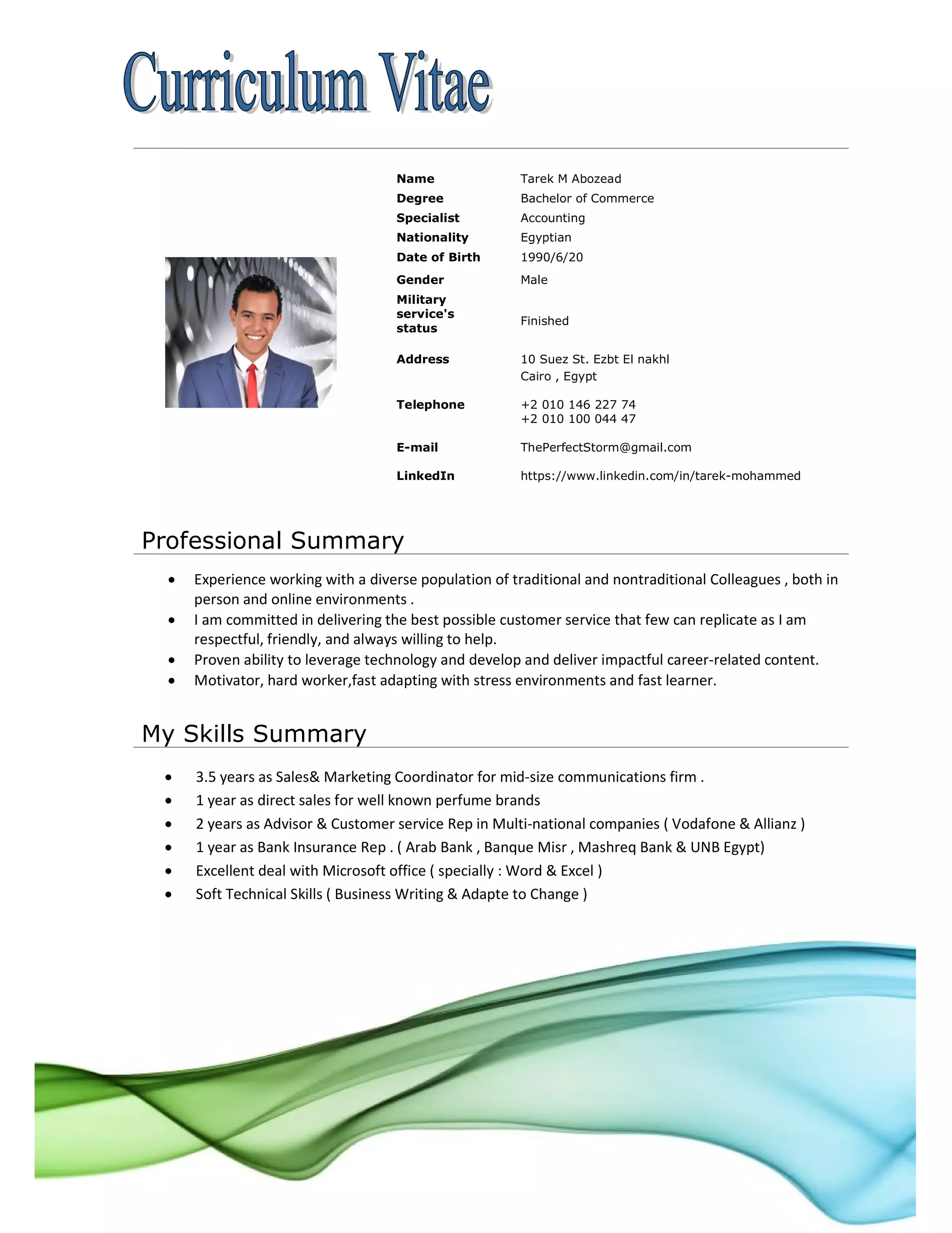 Tarek Abo-Zead cv 17 | PDF