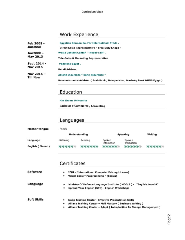 Tarek Abo-Zead cv 17 | PDF