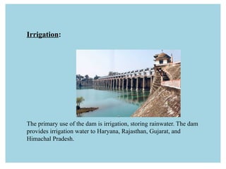 TARESH TECH SEM PPT (1).pptx Bhakra Nangal dam | PPTX