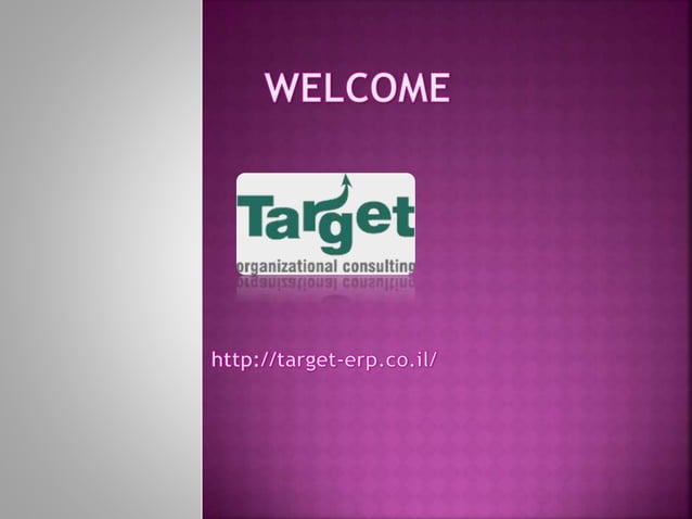 Target erp | PPTX