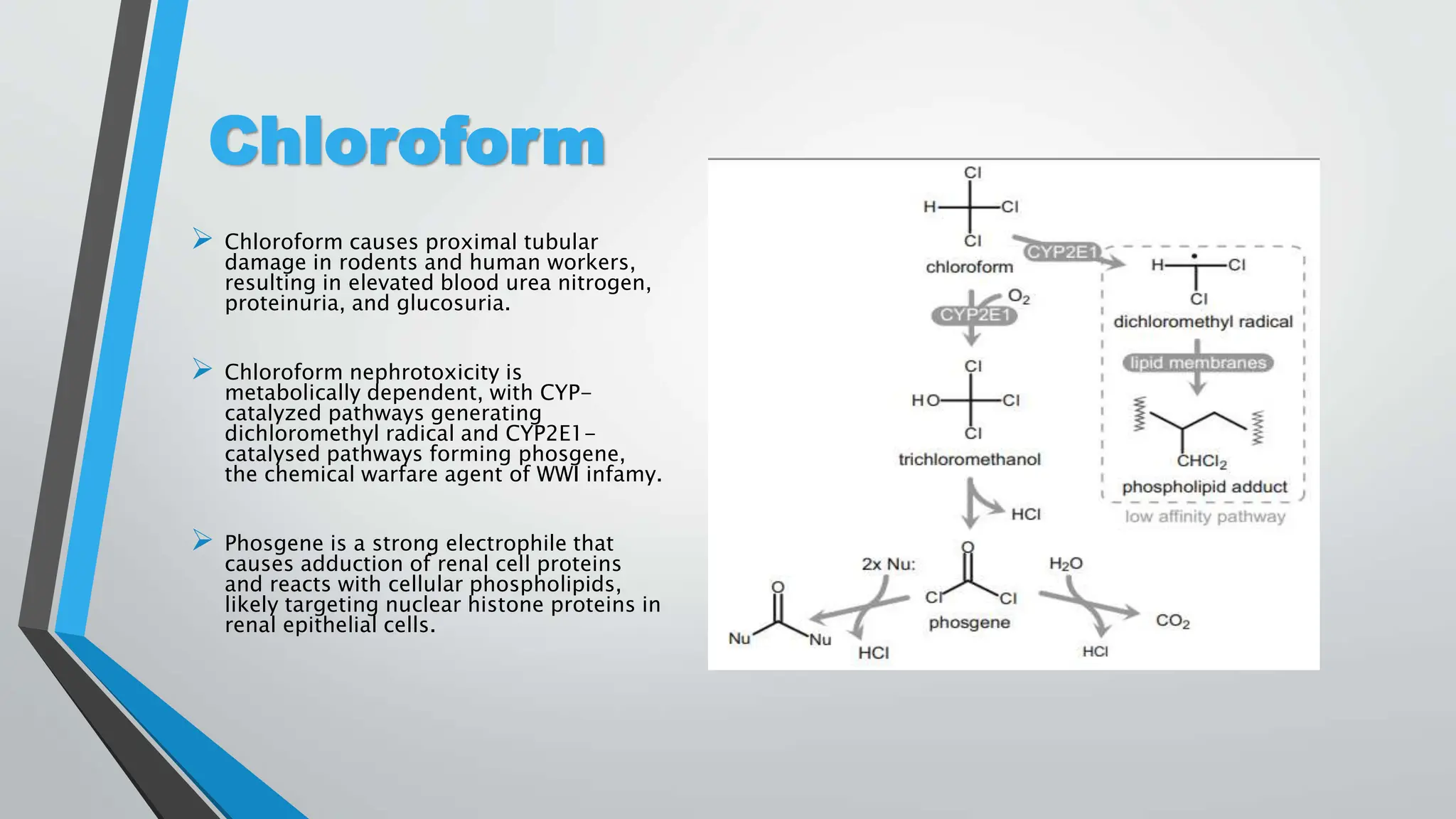 Target-Organ Toxicity i.e hepato and nephrotoxicants.pptx