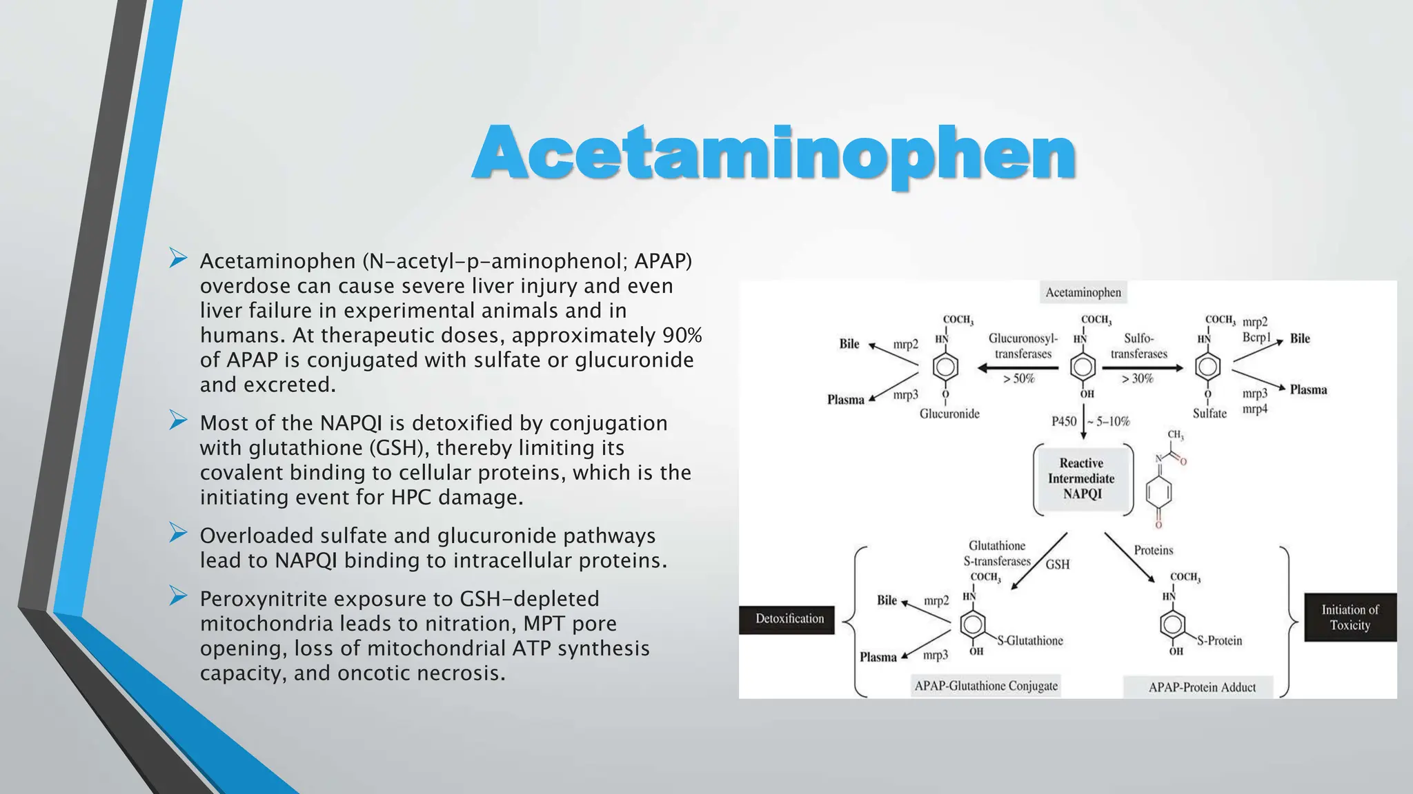 Target-Organ Toxicity i.e hepato and nephrotoxicants.pptx