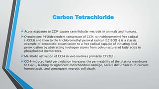 Target-Organ Toxicity i.e hepato and nephrotoxicants.pptx