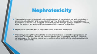 Target-Organ Toxicity i.e hepato and nephrotoxicants.pptx