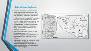 Target-Organ Toxicity i.e hepato and nephrotoxicants.pptx