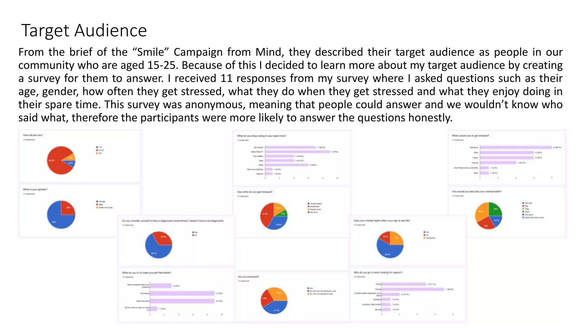 Target Audience Survey | PPT