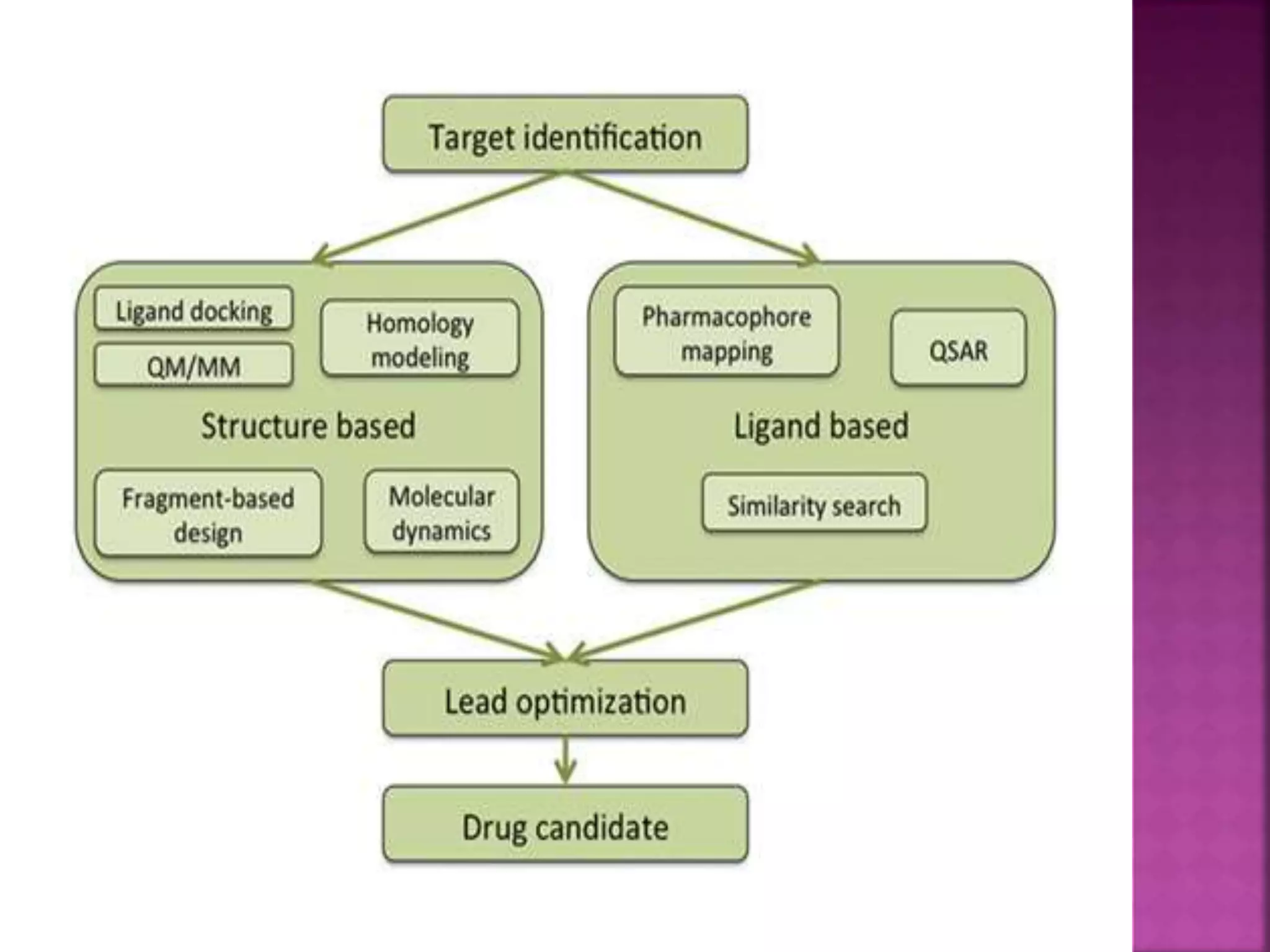 Target discovery and validation | PPTX