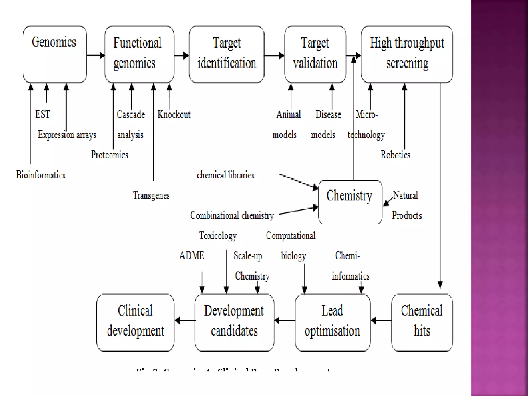 Target discovery and validation | PPTX
