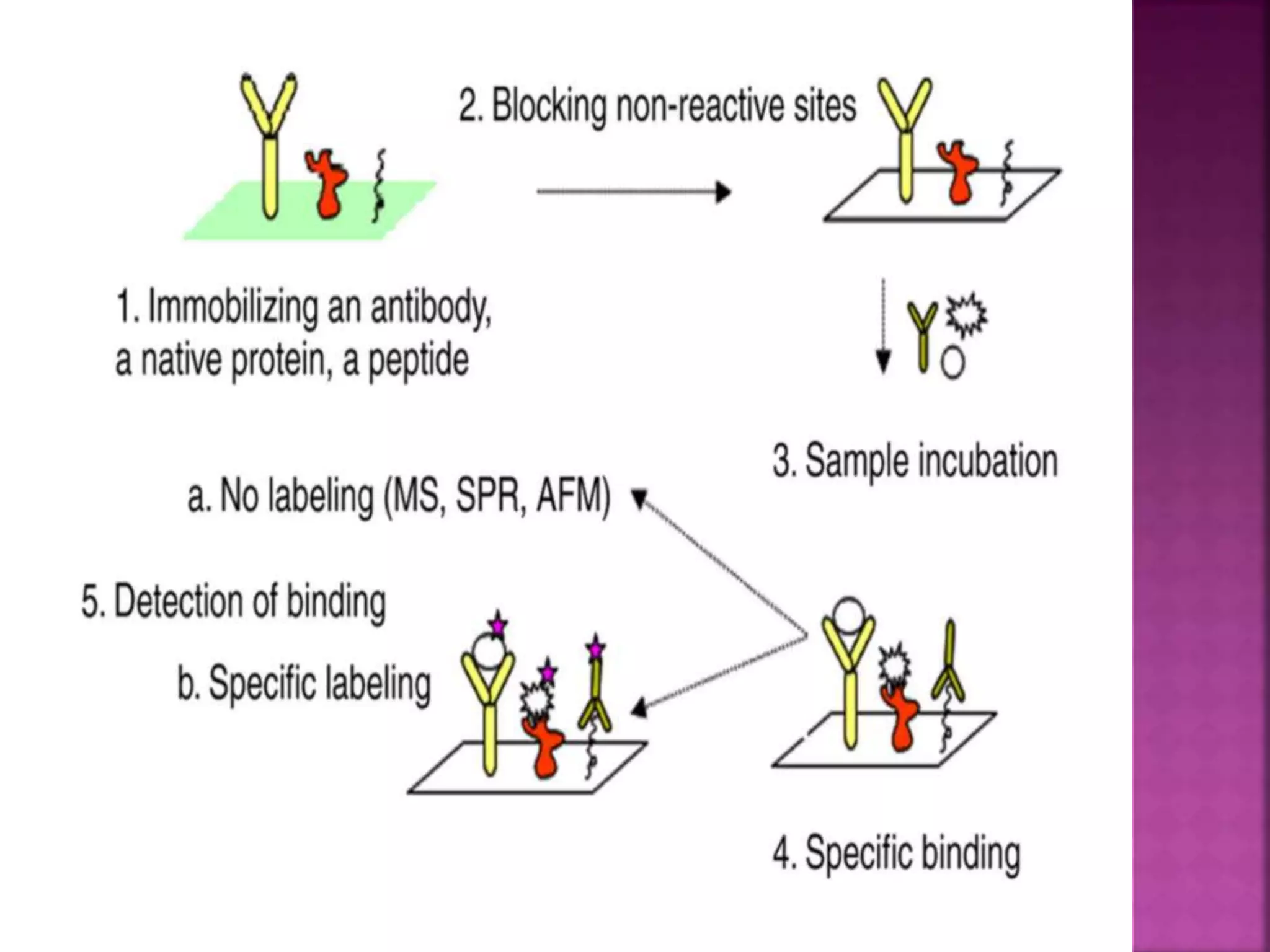 Target discovery and validation | PPTX