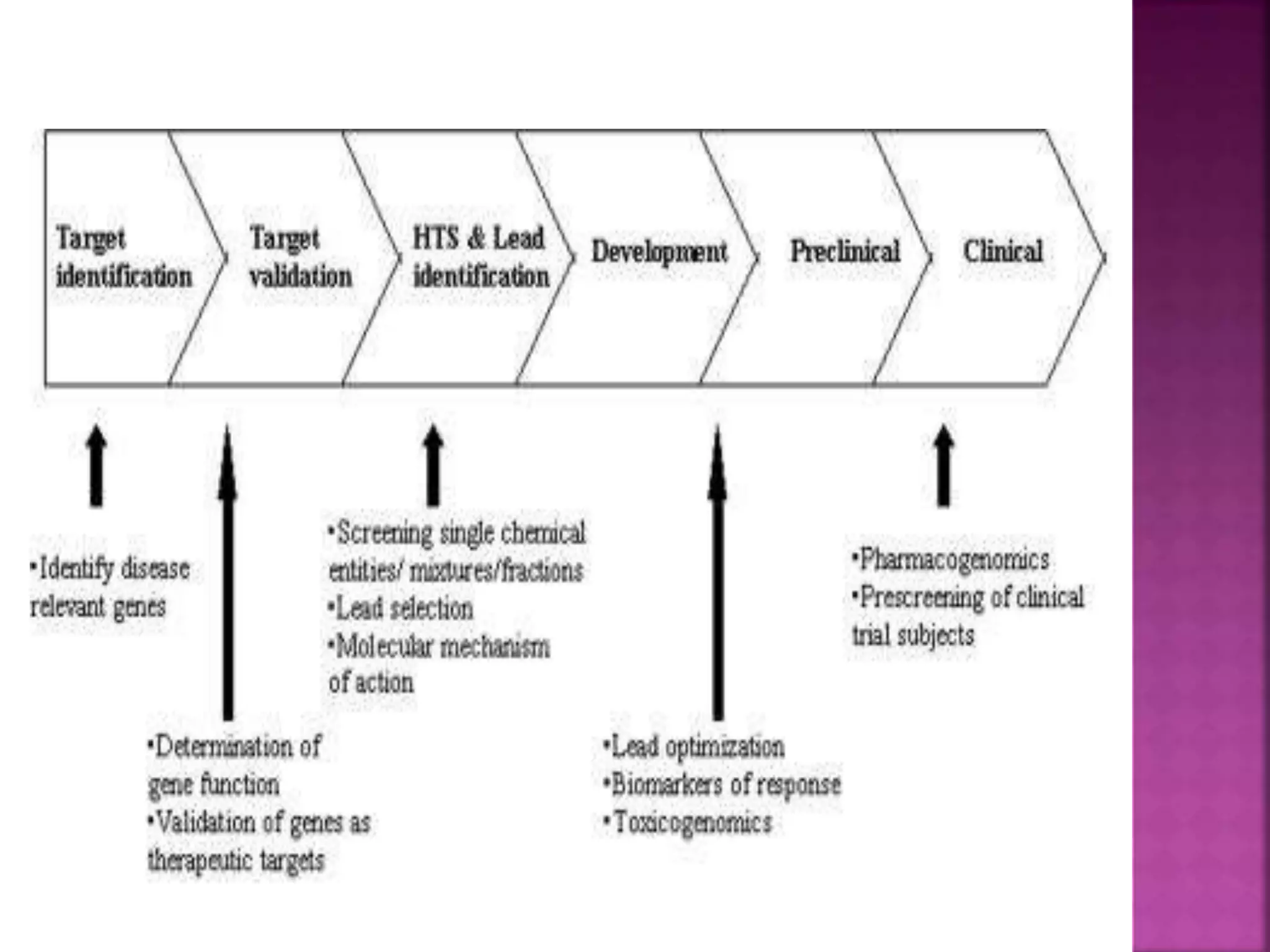 Target discovery and validation | PPTX