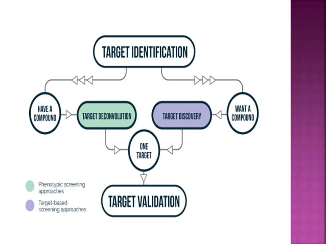 Target discovery and validation | PPTX | Biotech and Biomedical ...