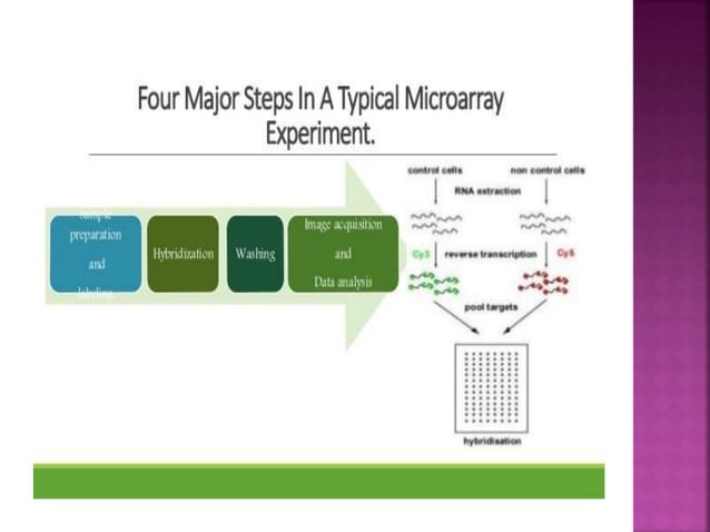Target discovery and validation | PPTX | Biotech and Biomedical ...