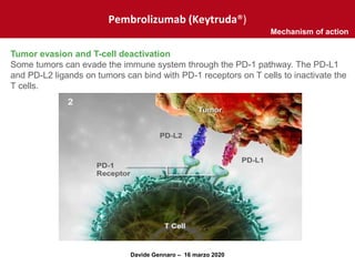 Targeted Cancer Therapies | PPT