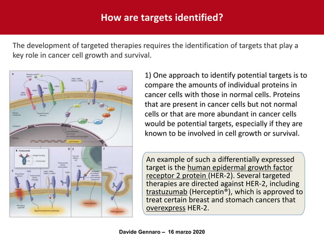 Targeted Cancer Therapies | PPT