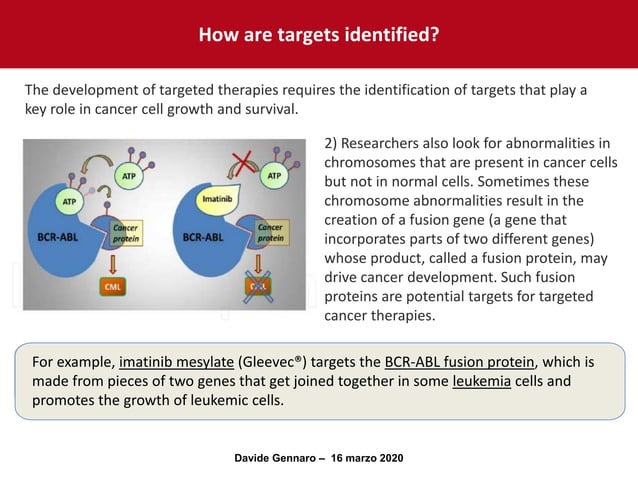 Targeted Cancer Therapies | PPT