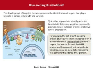 Targeted Cancer Therapies | PPT
