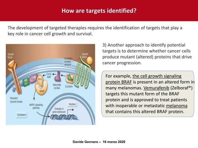 Targeted Cancer Therapies | PPT