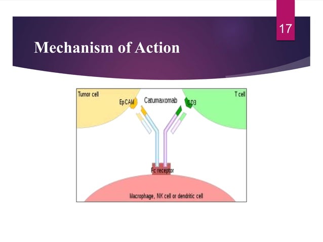 Targeted cancer therapy | PPTX | Cancer | Diseases and Conditions