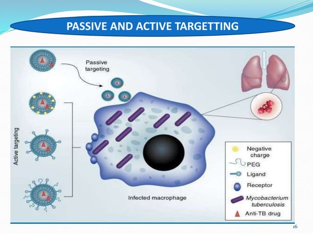 Targeted drug delivery | PPT