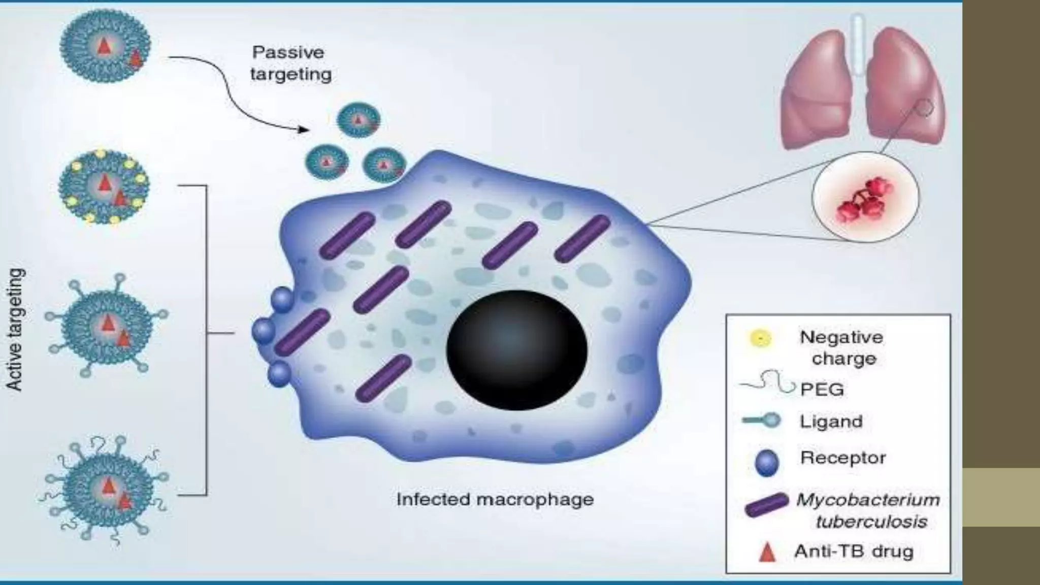 Targeted drug delivery system | PPTX