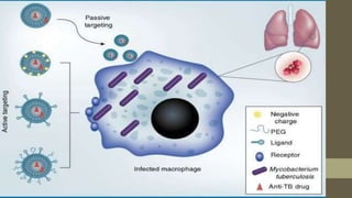 Targeted drug delivery system | PPTX