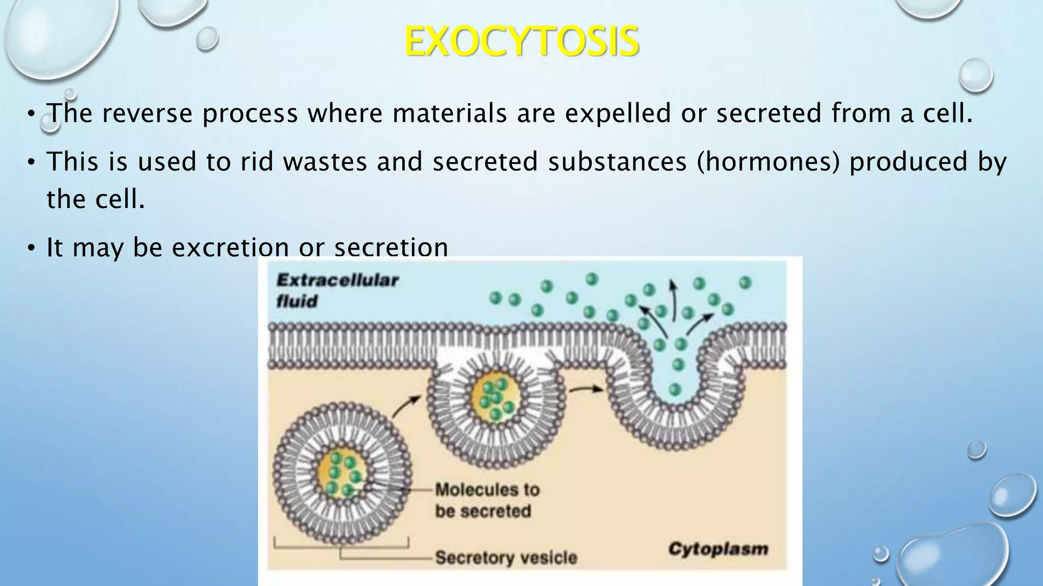 Targeted drug delivery system | PPTX