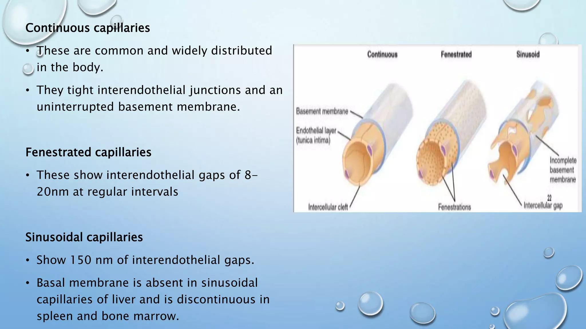 Targeted drug delivery system | PPTX