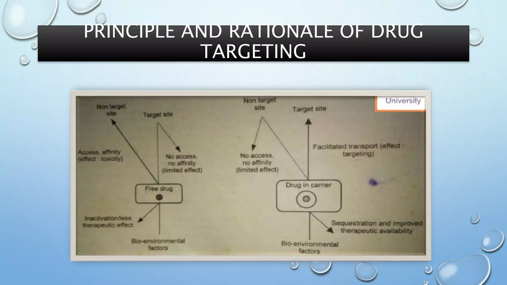Targeted drug delivery system | PPTX