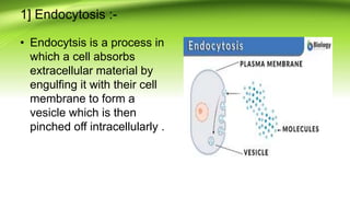 Targeted drug delivery systems ppt | PPTX