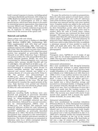Targeted foreign gene expression in spinal cord | PDF