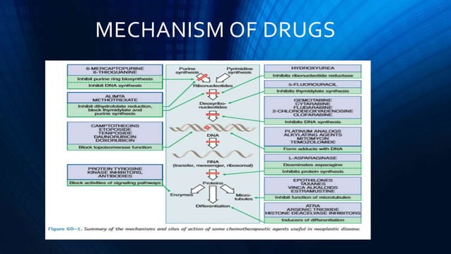 Targeted therapy anticancer drugs | PPTX | Cancer | Diseases and Conditions