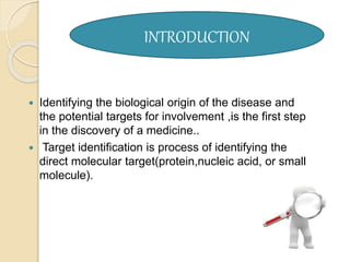 Target identification | PPTX