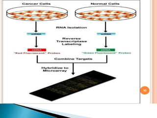 Target identification and validation | PPTX